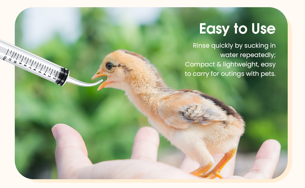 The Ultimate Guide to Bird Feeding Syringes: Everything You Need to ...