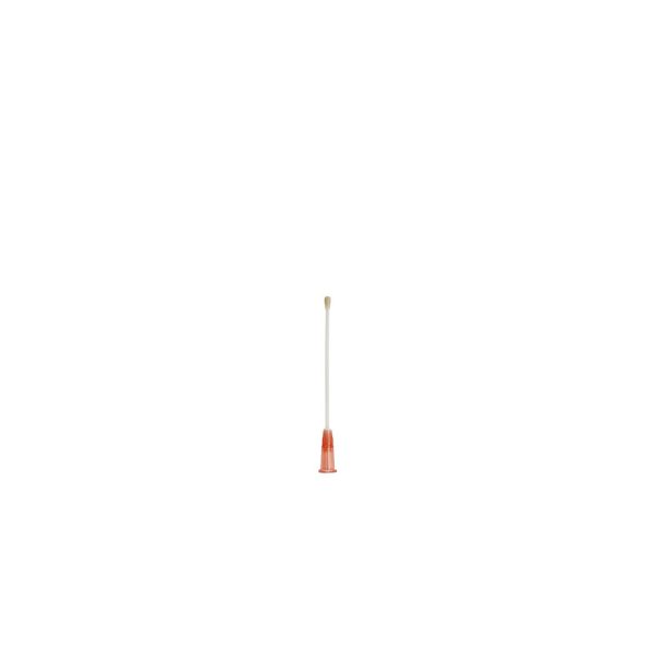 The Complete Guide to Choosing the Right Feeding Needle for Laboratory ...